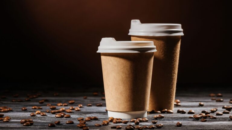 20 Low-Cost, High-Impact Gifts for Eco-Conscious Friends and Family ...