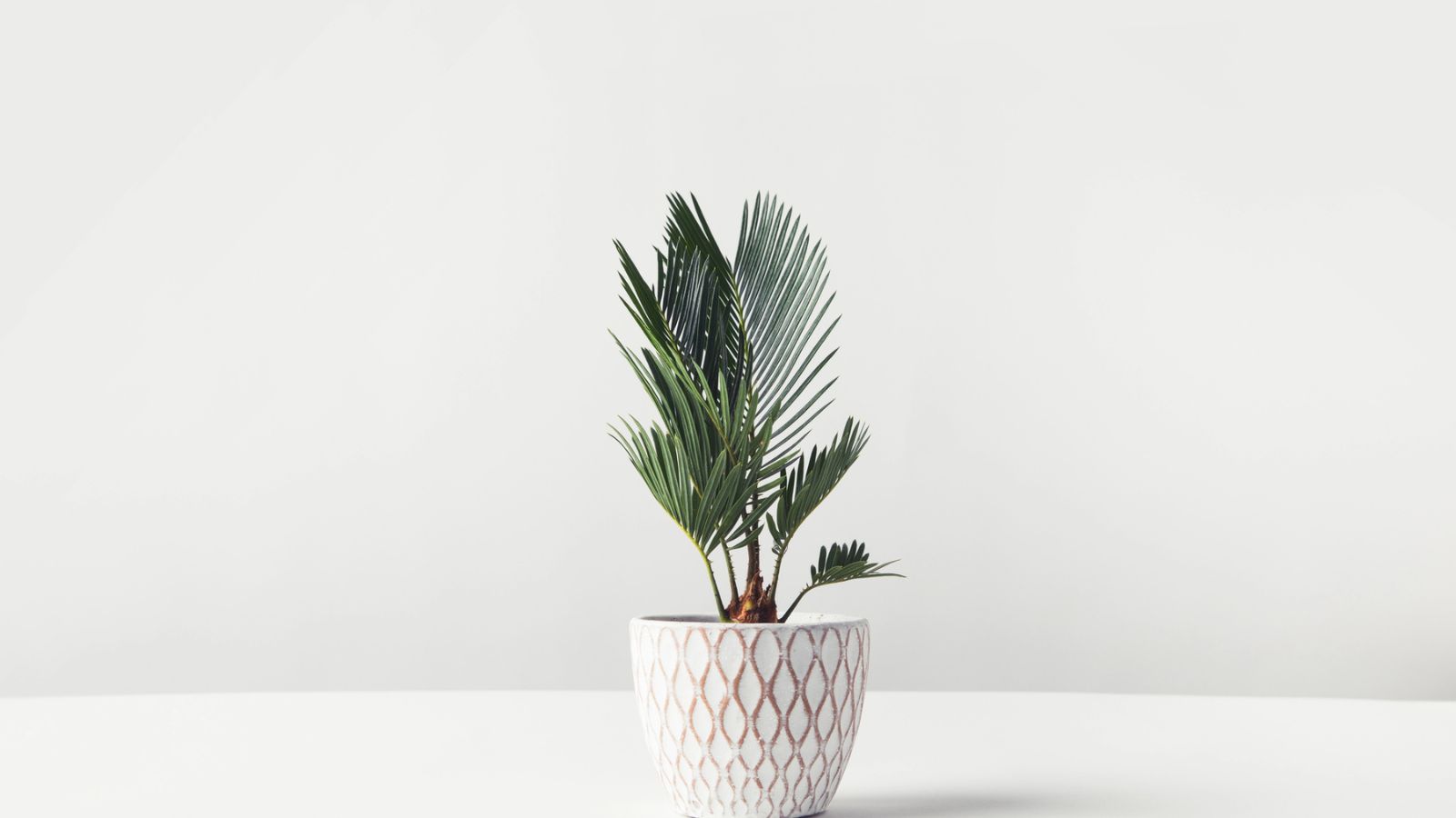 Make It Memorable with 15 DIY Gifts That Carry a Personal Touch ...